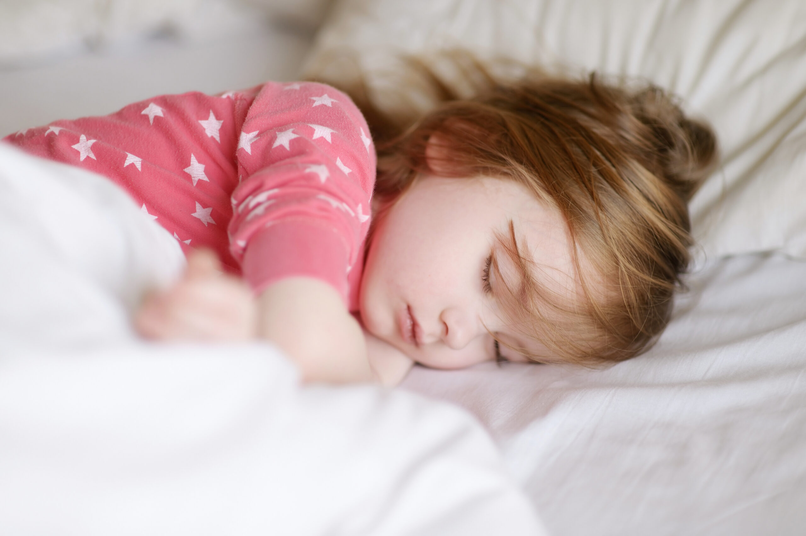 The Best Toddler Beds Of 2023 Lupon gov ph